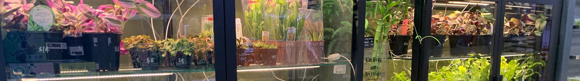 Classes and Services Nano Arium Kits Gift cards Workshop Gallery