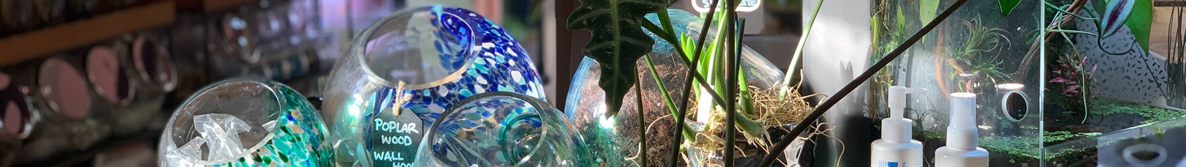 Classes and Services Nano Arium Kits Gift cards Workshop Gallery