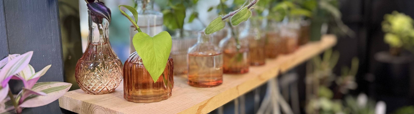 Classes and Services Nano Arium Kits Gift cards Workshop Gallery ...