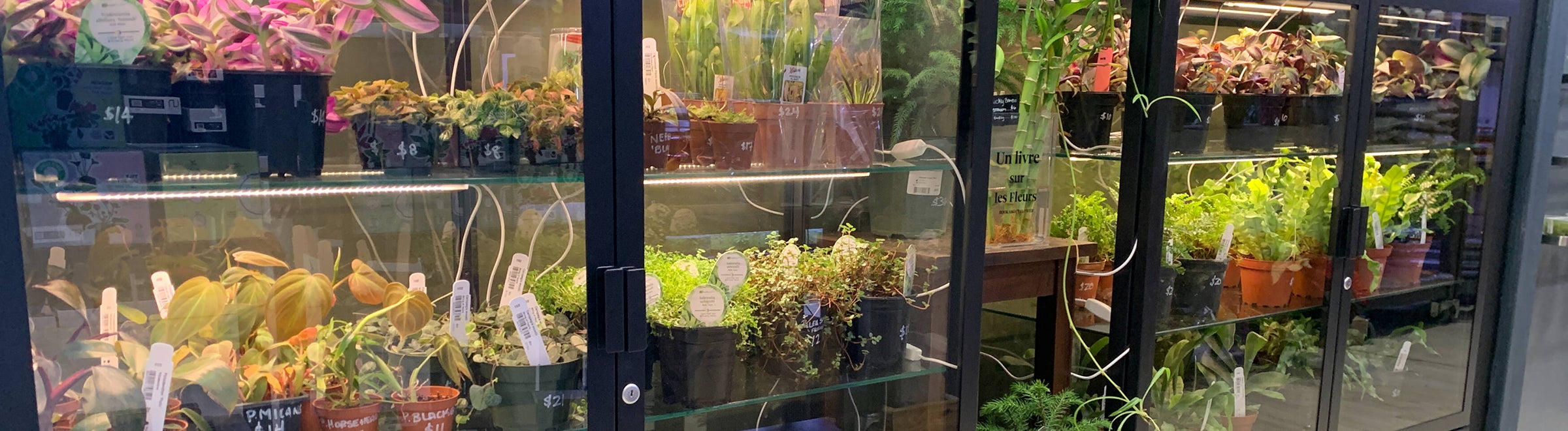 Classes and Services Nano Arium Kits Gift cards Workshop Gallery ...